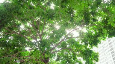 Free Stock Video Footage - Download Free 4K, HD Video - Free Clips ...